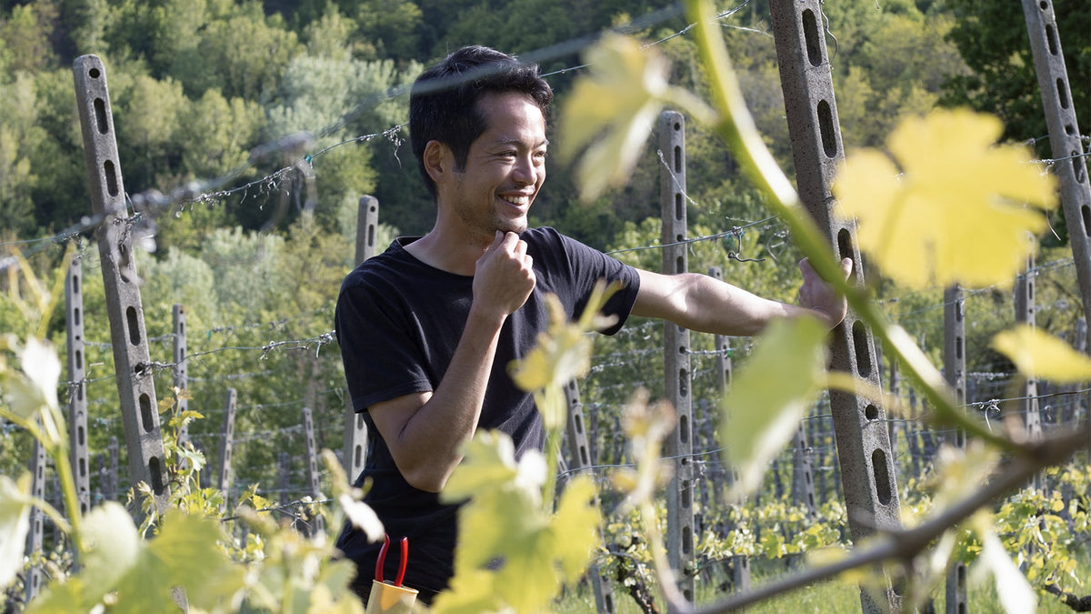 Shun Minowa – Natural Wines from Emilia Romagna Delivered in ...
